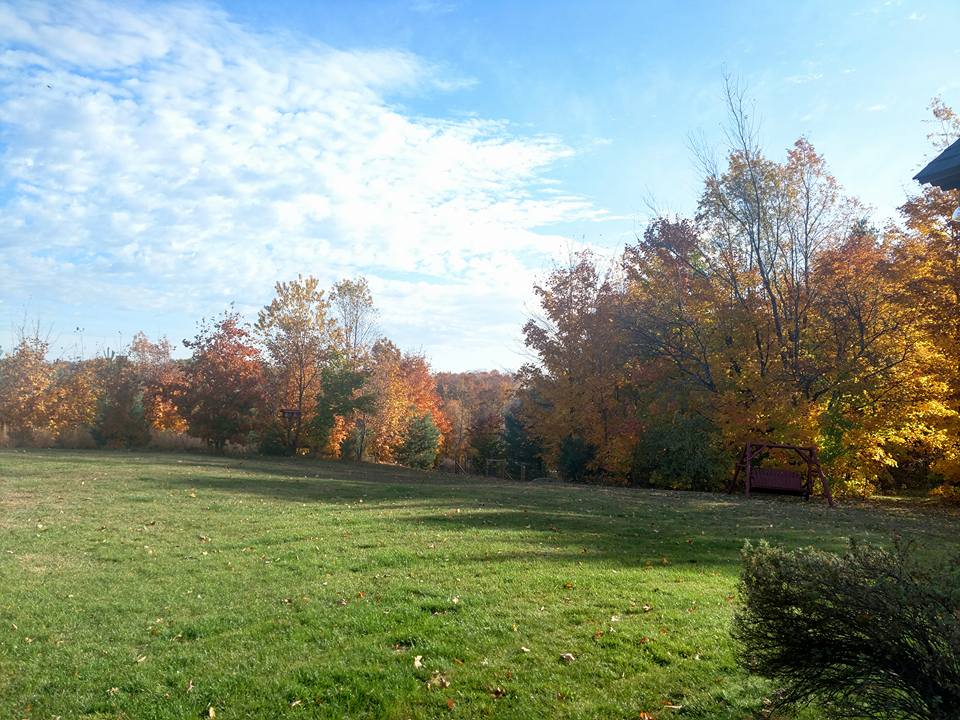 Welcome to the Happy Homestead Farm!